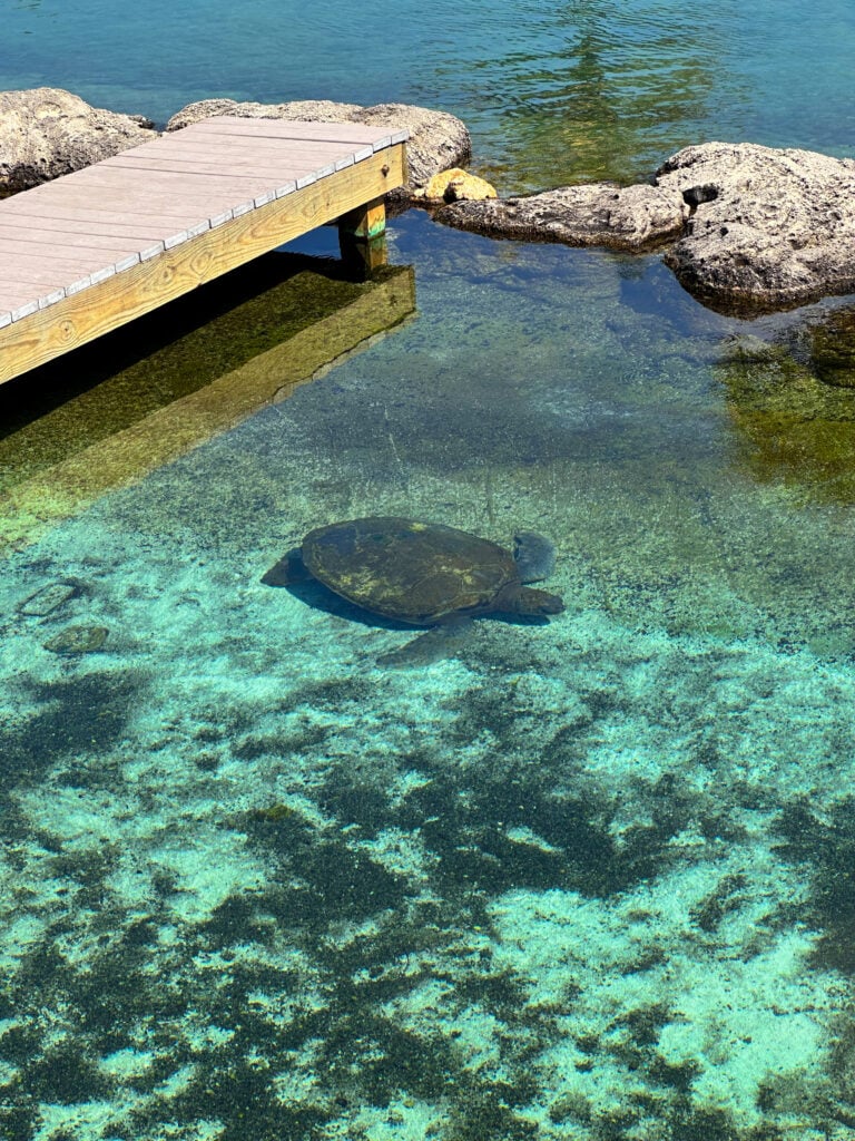 Things to do in Stuart Florida | Treasure Coast Mom