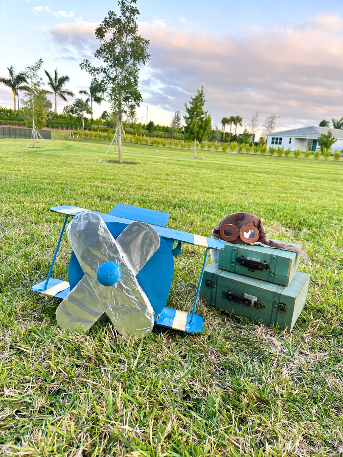 DIY Airplane Costume