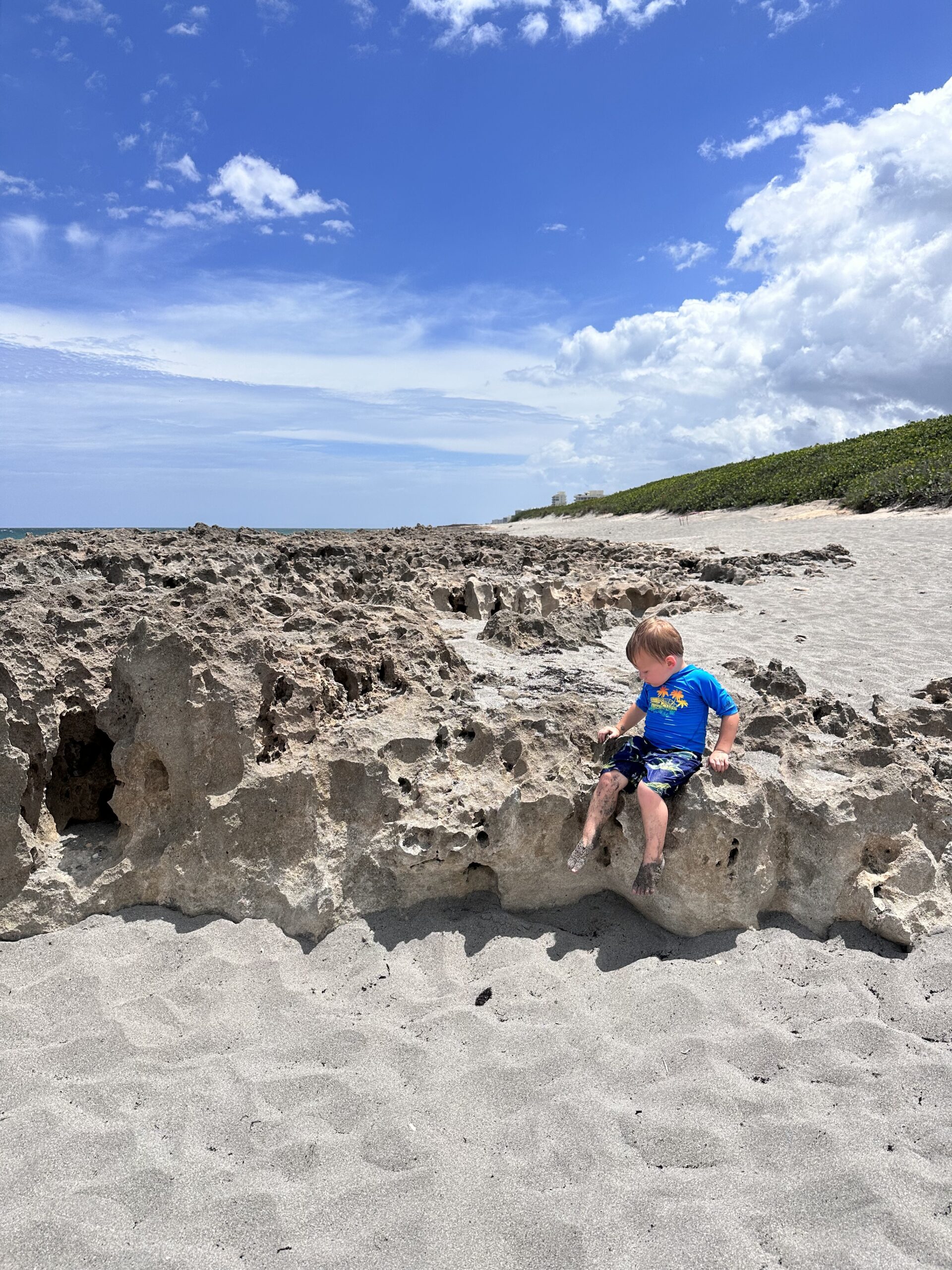 Blowing Rocks Preserve: A Florida Adventure | Treasure Coast Mom
