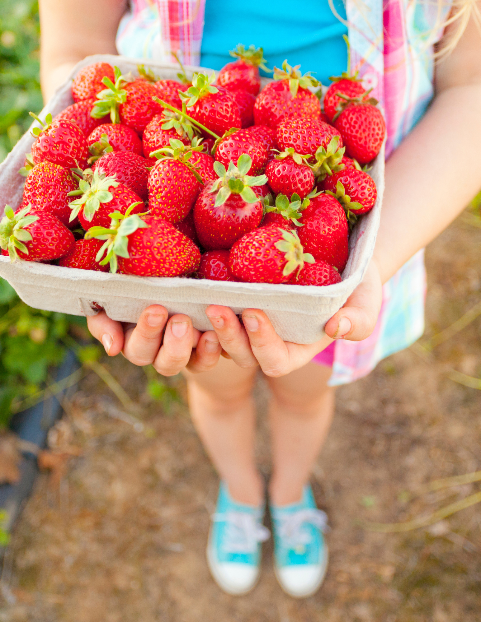 Strawberry Festivals in Florida - Treasure Coast Mom